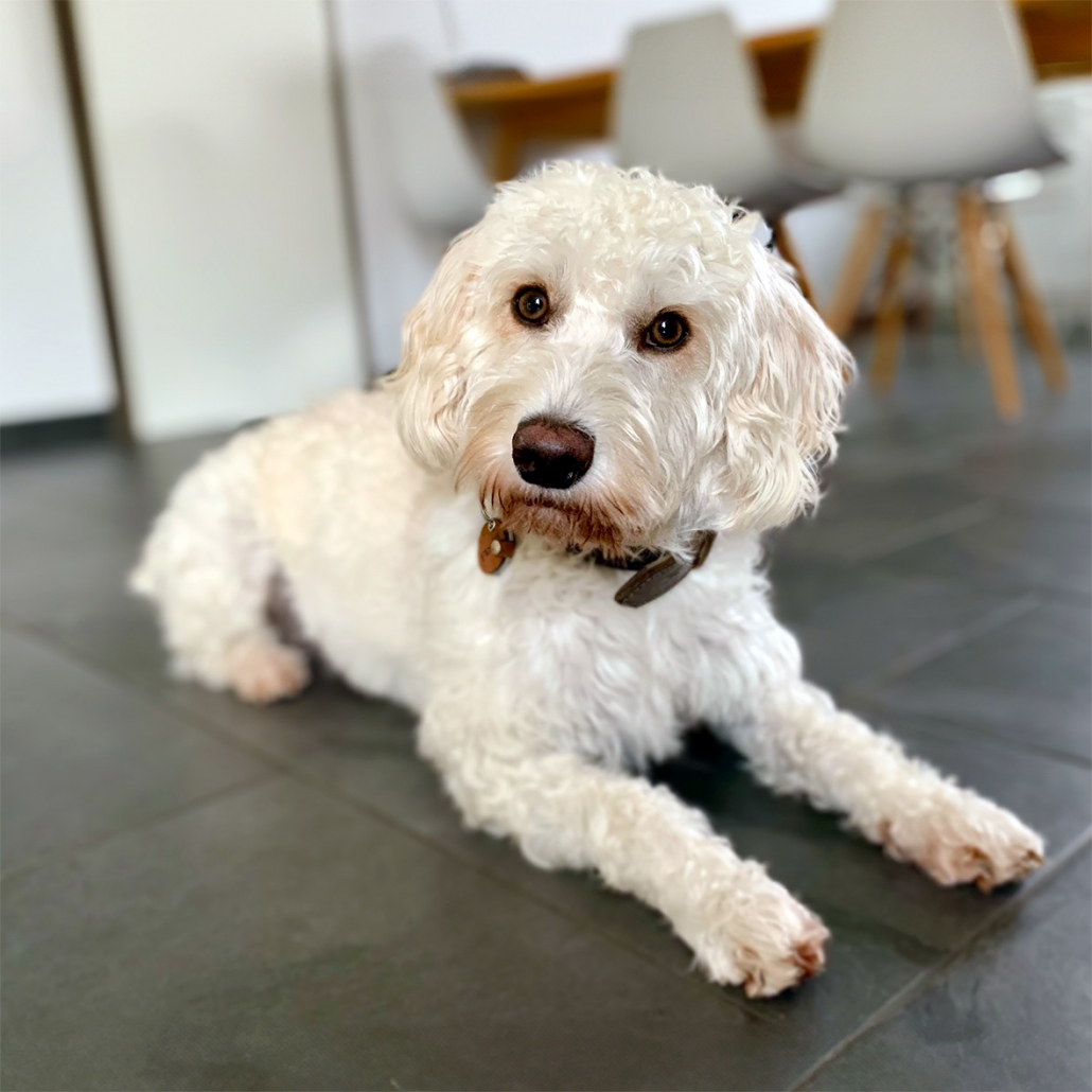 Team – sektorworks