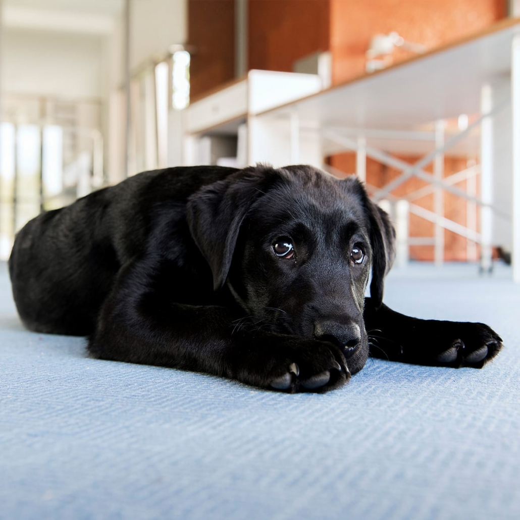 Team – sektorworks